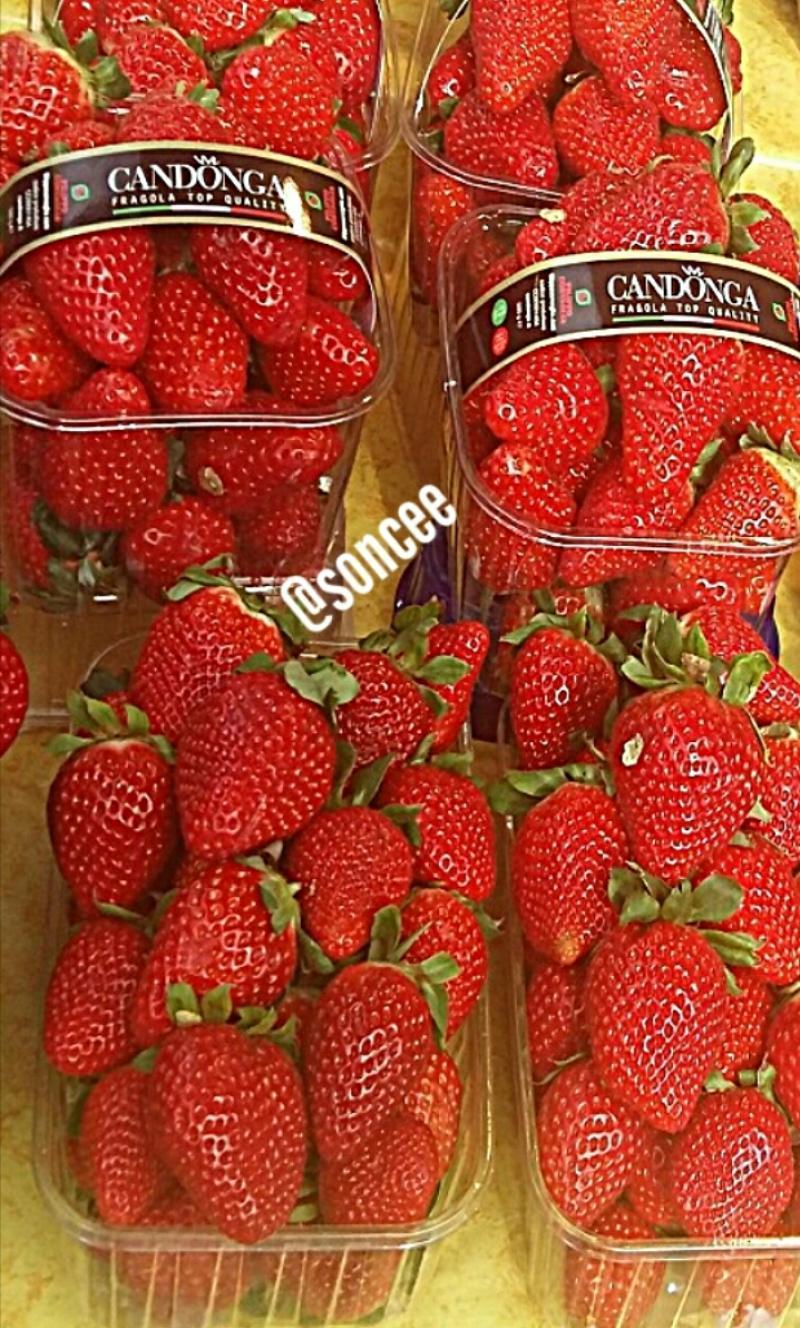 Deep frozen Strawberriess - Tuetego