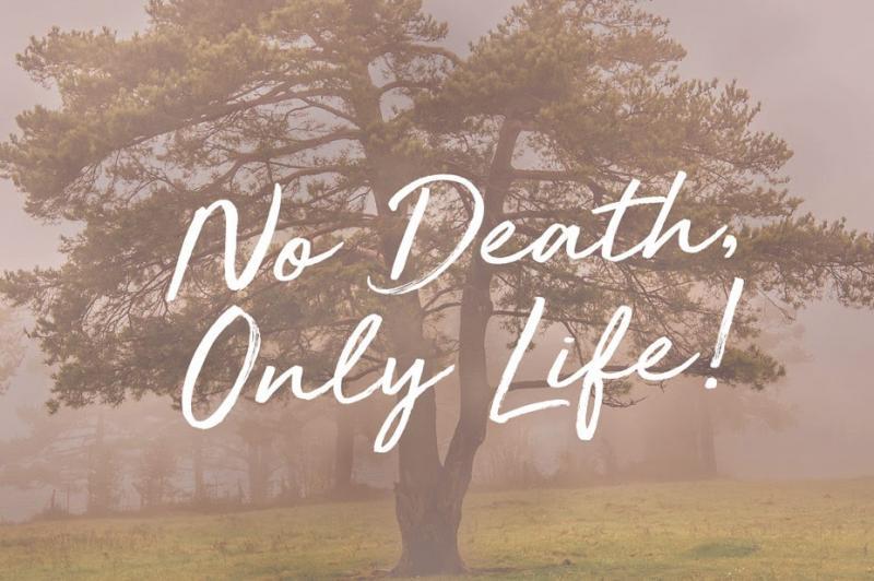 NO DEATH, ONLY LIFE! - Tuetego