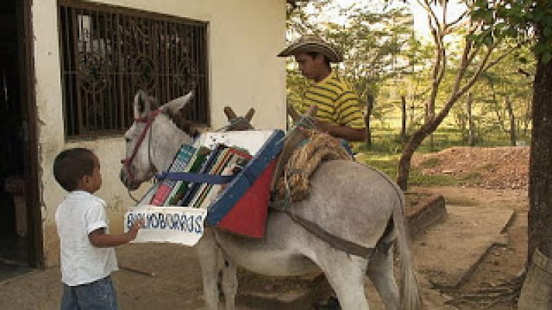 Donkey mobile libraries in Zimbabwe - Tuetego