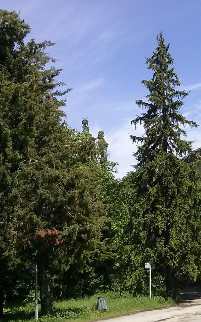 Kailuka Park - Bulgaria, Pleven - Tuetego