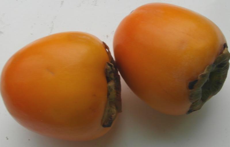 Paradise apple - divine fruit - Tuetego