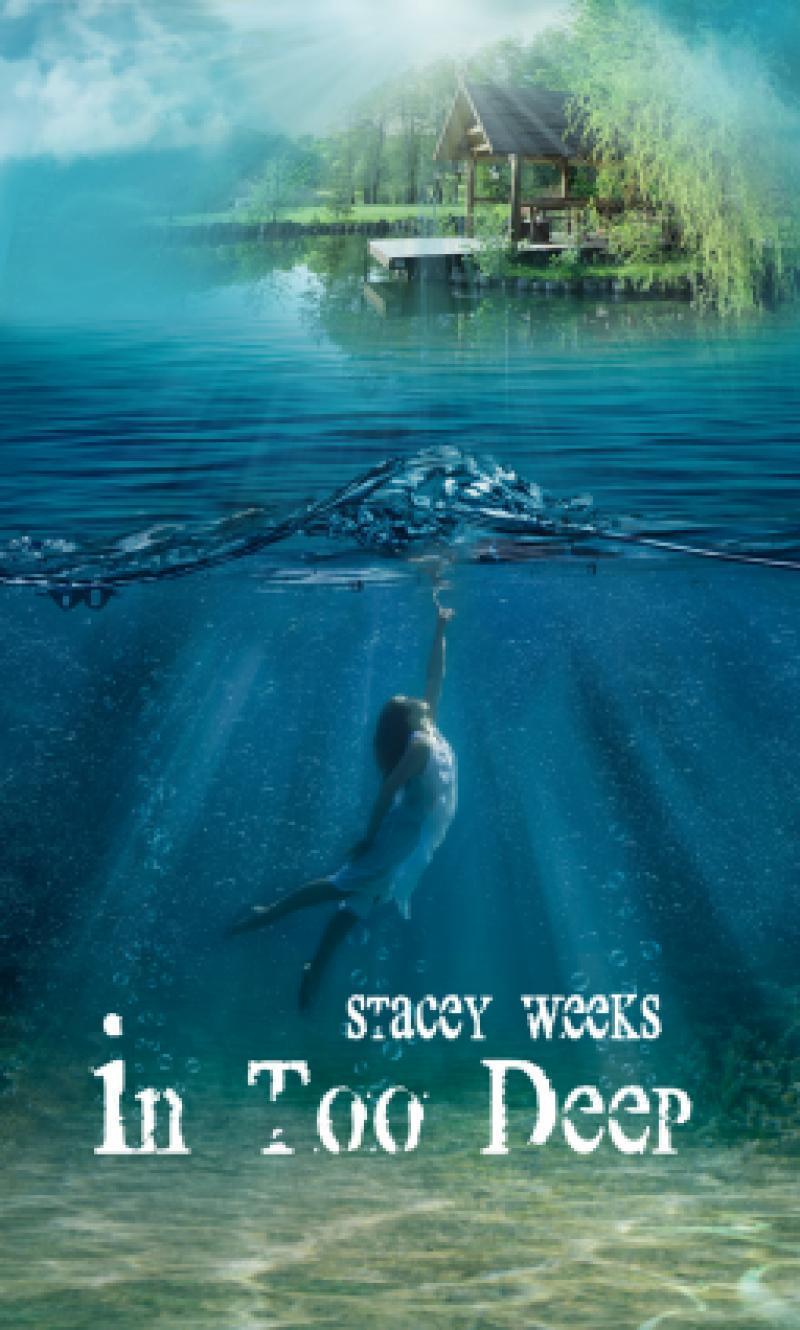 Book Review: In Too Deep - Tuetego