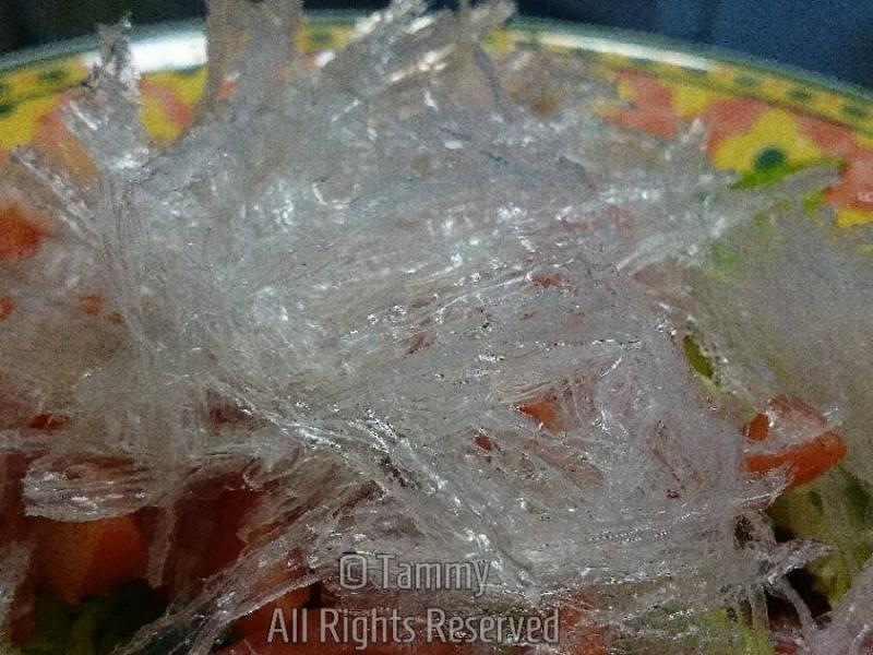 Agar Agar the sea jelly - Tuetego